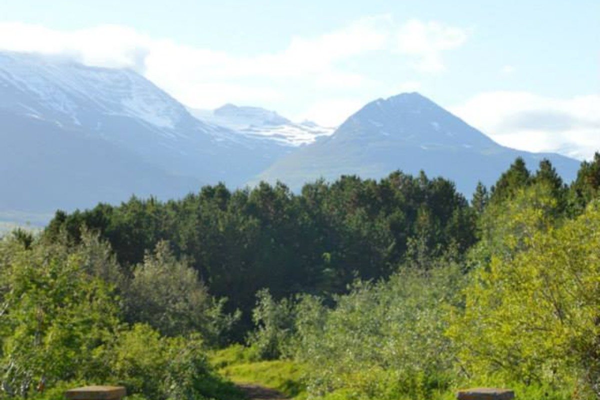 Sveppafræðsla í Bögg | Dalvíkurbyggð