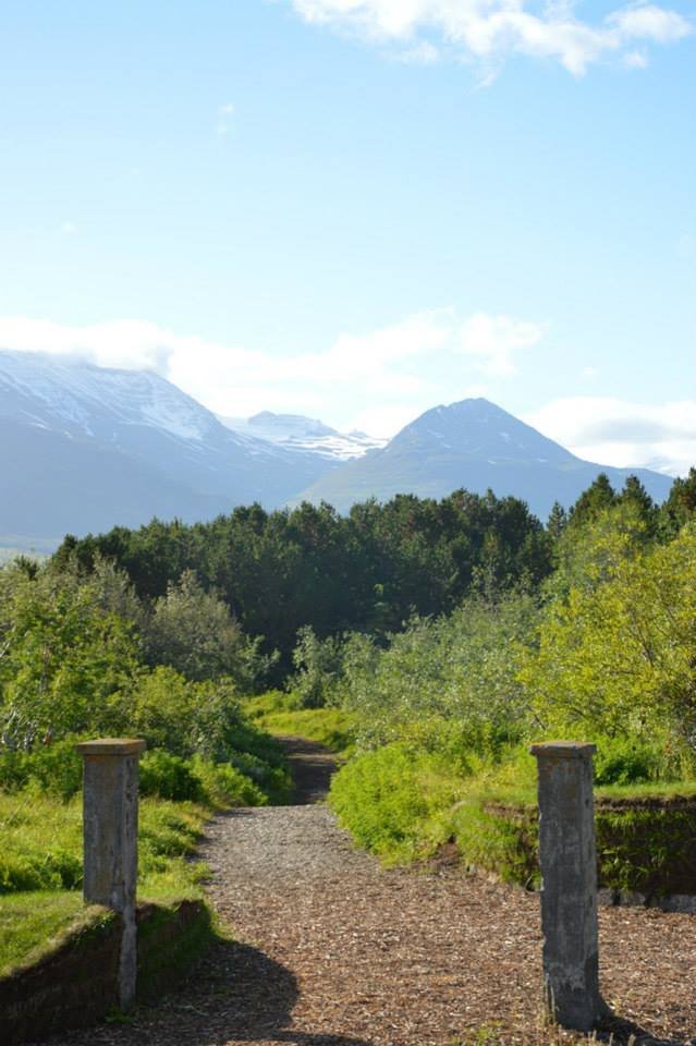 Sveppafræðsla í Bögg | Dalvíkurbyggð
